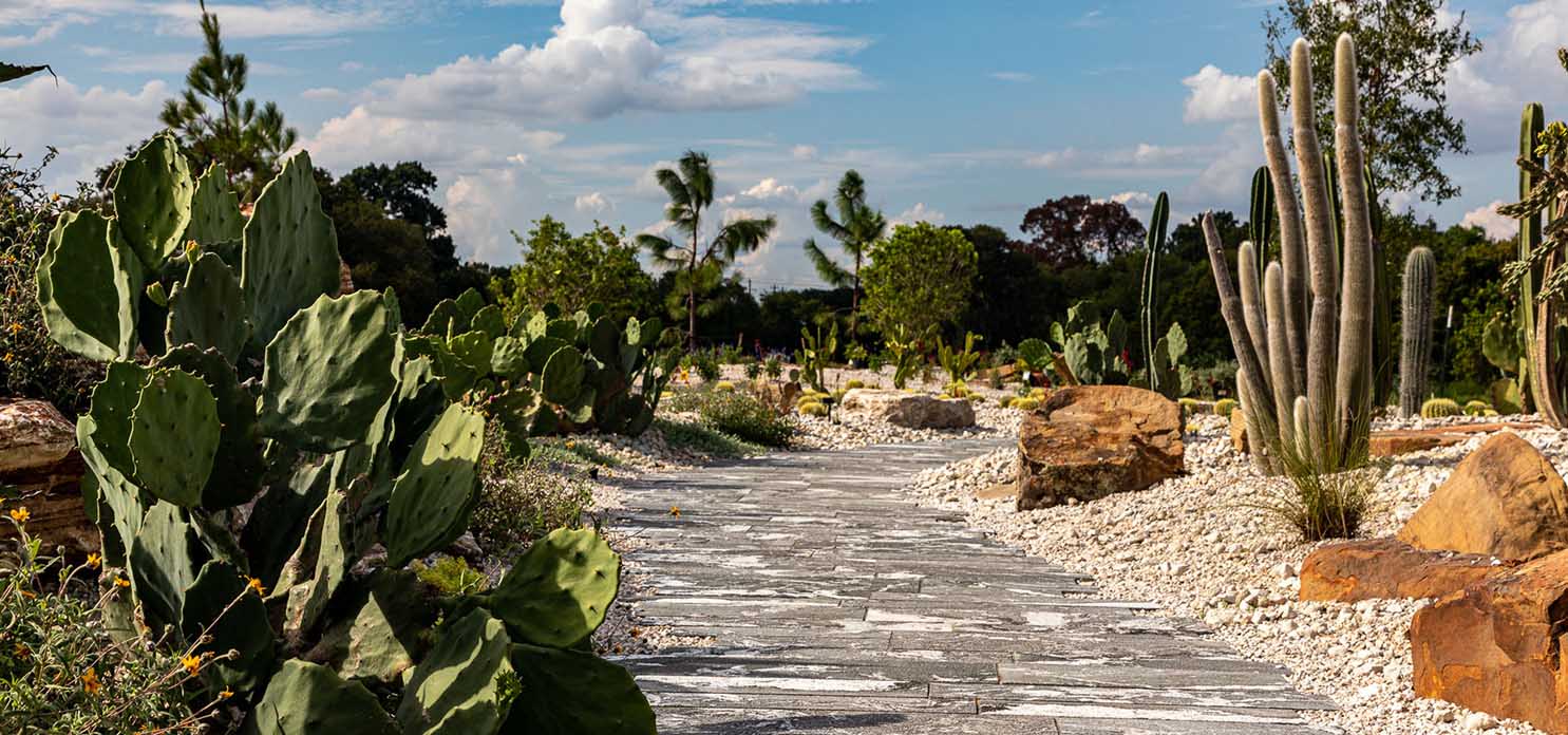 Artistic Reverie: A Comprehensive Exploration of Wanaka Art Gallery ...