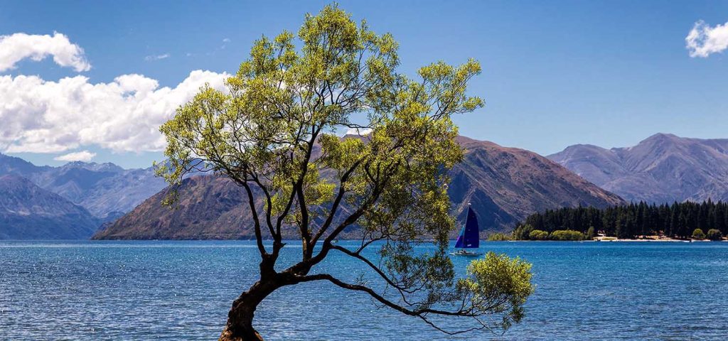 Artistic Reverie: A Comprehensive Exploration of Wanaka Art Gallery ...