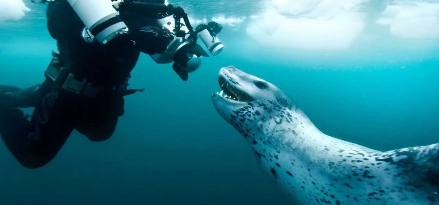 Beneath the Surface: Immersive Exploration of Wanaka Lake’s Underwater ...
